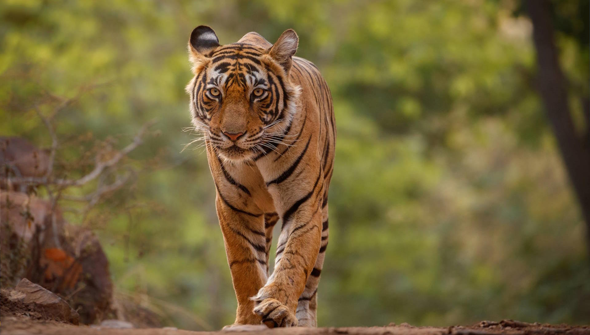 Bangladesh: The Land of Opportunities – Spellbound Communications Limited